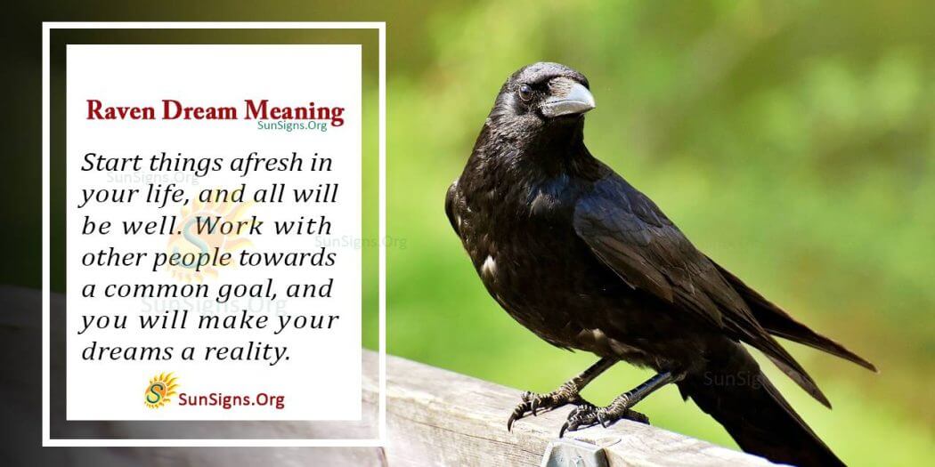 What Does It Mean To See A Raven in Your Dream? Interpretation And ...