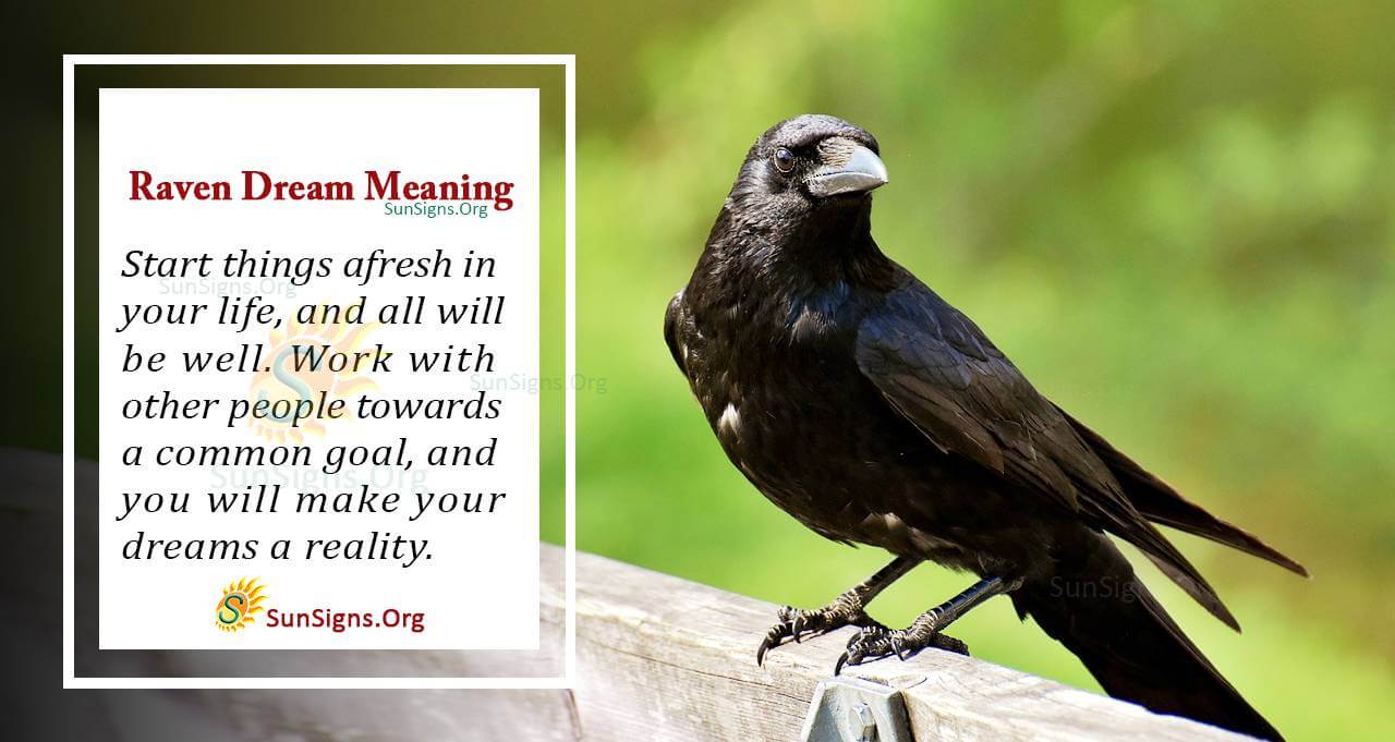 What Does It Mean To See A Raven in Your Dream? Interpretation And ...