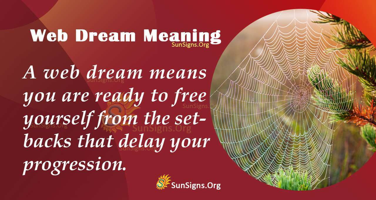 Seeing A Web Dream - Meaning, Interpretation And Symbolism - SunSigns.Org