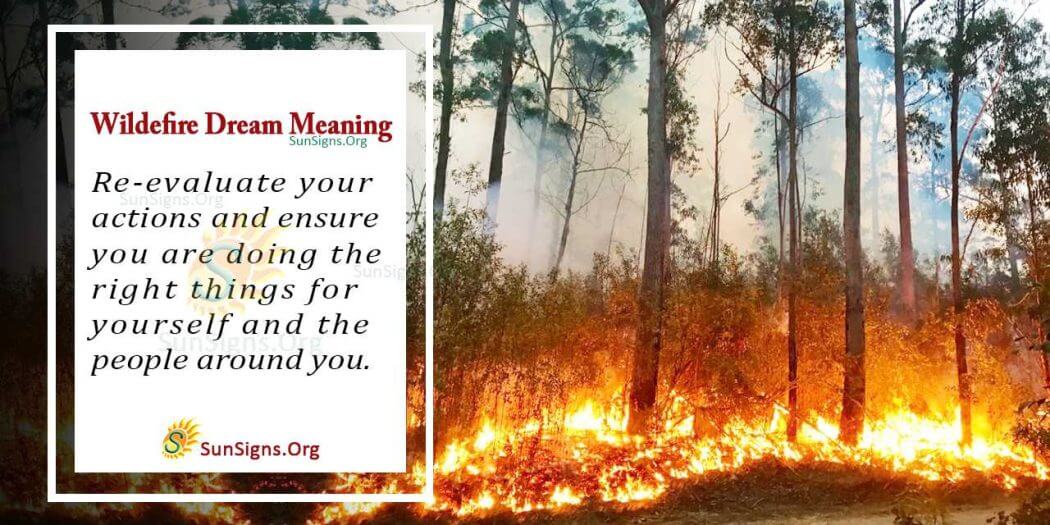 Interpreting Wildfire Dream - Meaning and Symbolism - SunSigns.Org