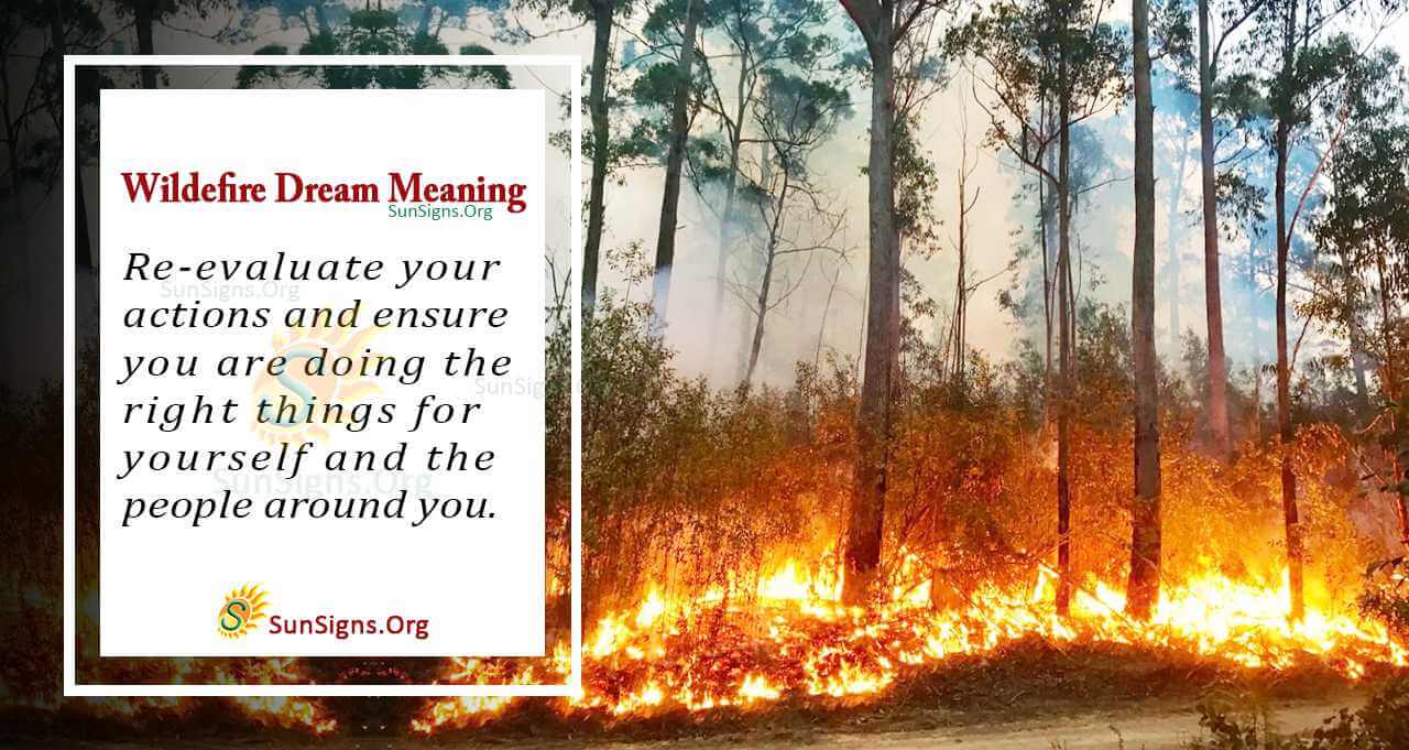 Interpreting Wildfire Dream - Meaning and Symbolism - SunSigns.Org