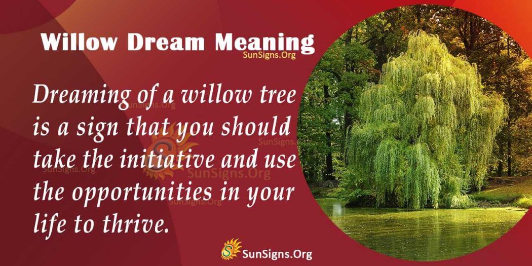 The Meaning of a Willow Tree Dream - Interpretation and Symbolism ...