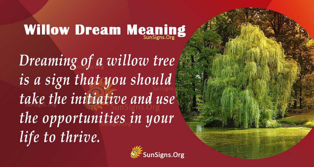 The Meaning of a Willow Tree Dream - Interpretation and Symbolism ...