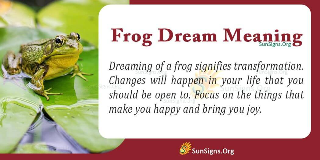 Frog Dream Symbol - Meaning, Interpretation and Symbolism - SunSigns.Org
