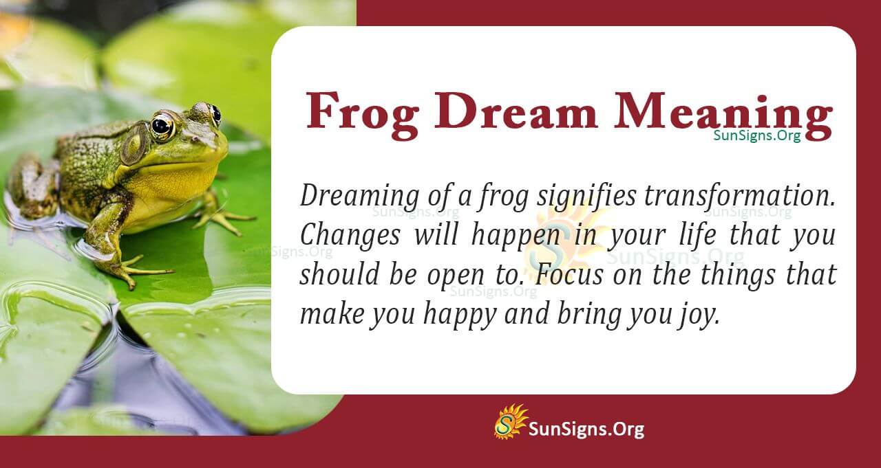 Frog Dream Symbol - Meaning, Interpretation and Symbolism - SunSigns.Org