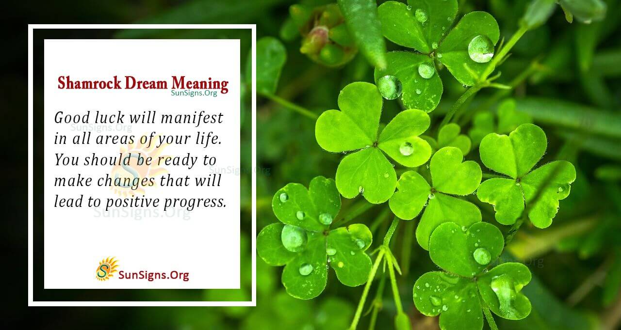 Dreaming of Shamrock - Meaning, Interpretation and Symbolism - SunSigns.Org