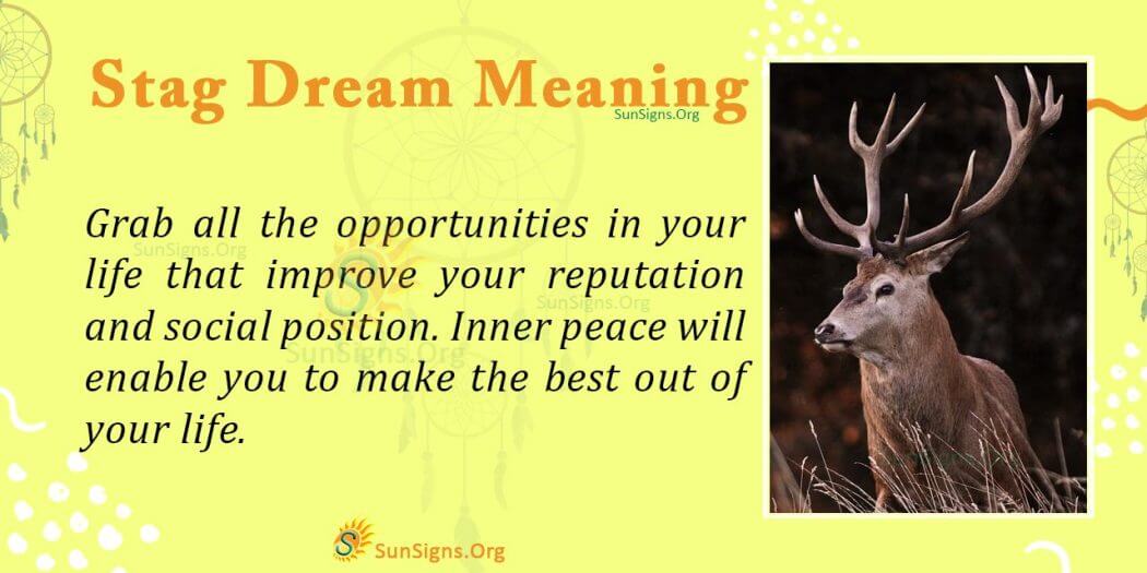 Dream About a Stag - Meaning, Interpretation and Symbolism - SunSigns.Org