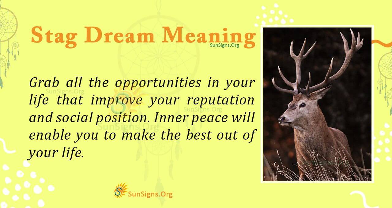 Dream About a Stag - Meaning, Interpretation and Symbolism - SunSigns.Org