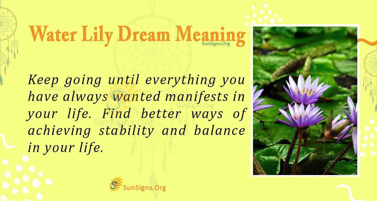 Water Lily In Your Dream - Meaning, Interpretation and Symbolism ...