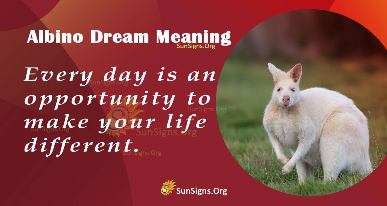 Dreaming of an Albino - Meaning, Interpretation and Symbolism ...