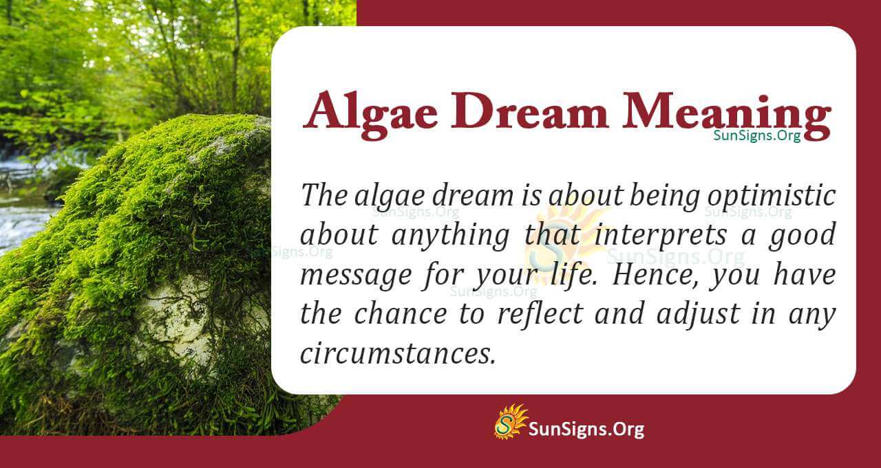 Seeing Algae In Your Dream - Meaning, Interpretation And Symbolism ...