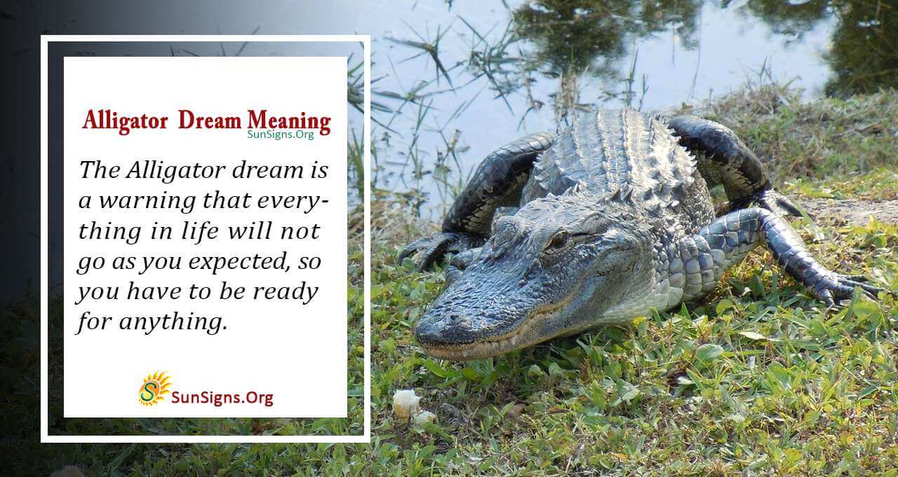 What Is The Meaning Of An Alligator Dream? - Interpretation And ...