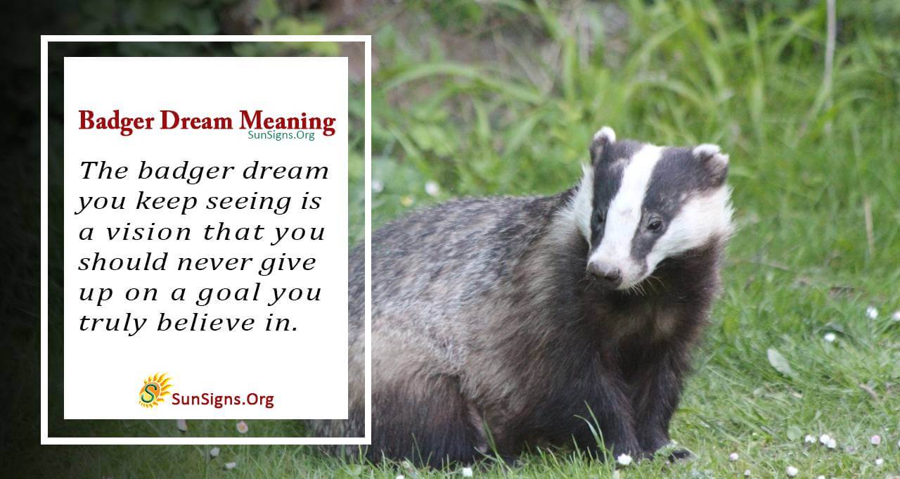 What Is The Meaning Of A Badger Dream? - Interpretation, And Symbolism ...