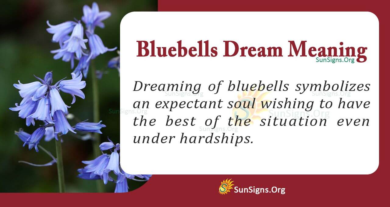 Seeing Bluebells In Your Dream - Meaning, Interpretation And Symbolism ...