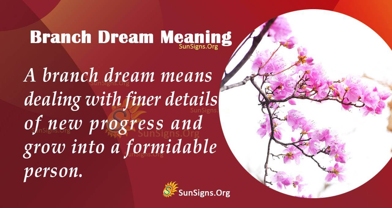 Seeing A Branch In Your Dream - Interpretation, Symbolism And Meaning ...