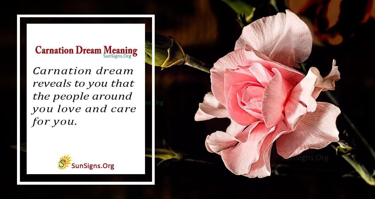 What Is The Meaning Of A Carnation Dream? Interpretation And Symbolism ...