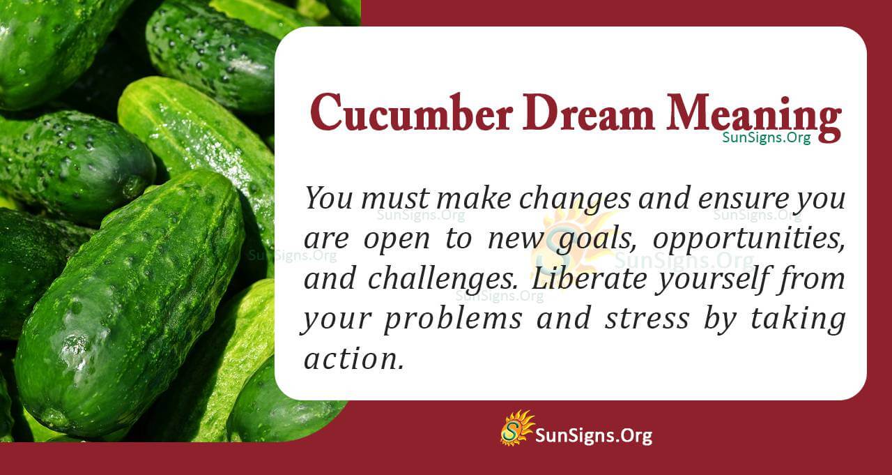 Seeing a Cucumber in Your Dream - Meaning, Interpretation and Symbolism ...