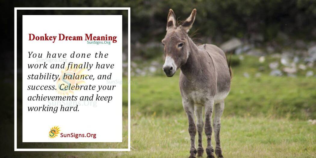 Seeing a Donkey in Your Dream - Meaning, Interpretation and Symbolism ...