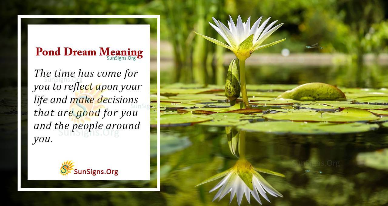 Meaning Of A Pond Dream - Interpretation and Symbolism - SunSigns.Org