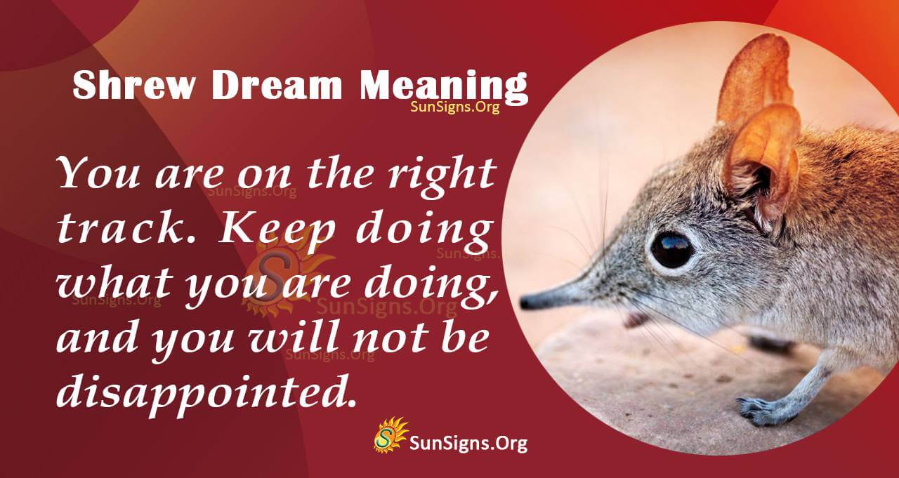 Dream Meaning of a Shrew - Interpretation and Symbolism - SunSigns.Org