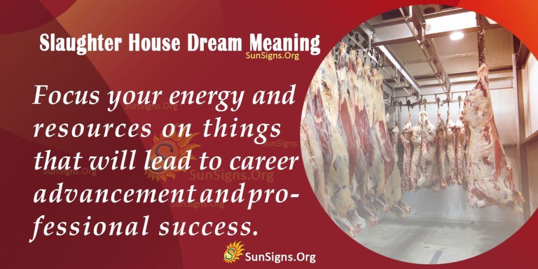 Dreaming of a Slaughterhouse and Its Meaning, Interpretation and ...