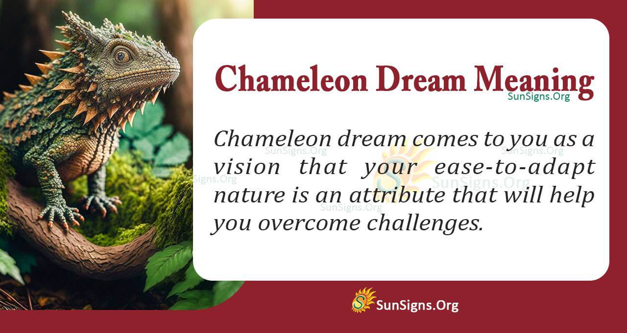 Chameleon In Your Dream - Meaning, Interpretation And Symbolism ...