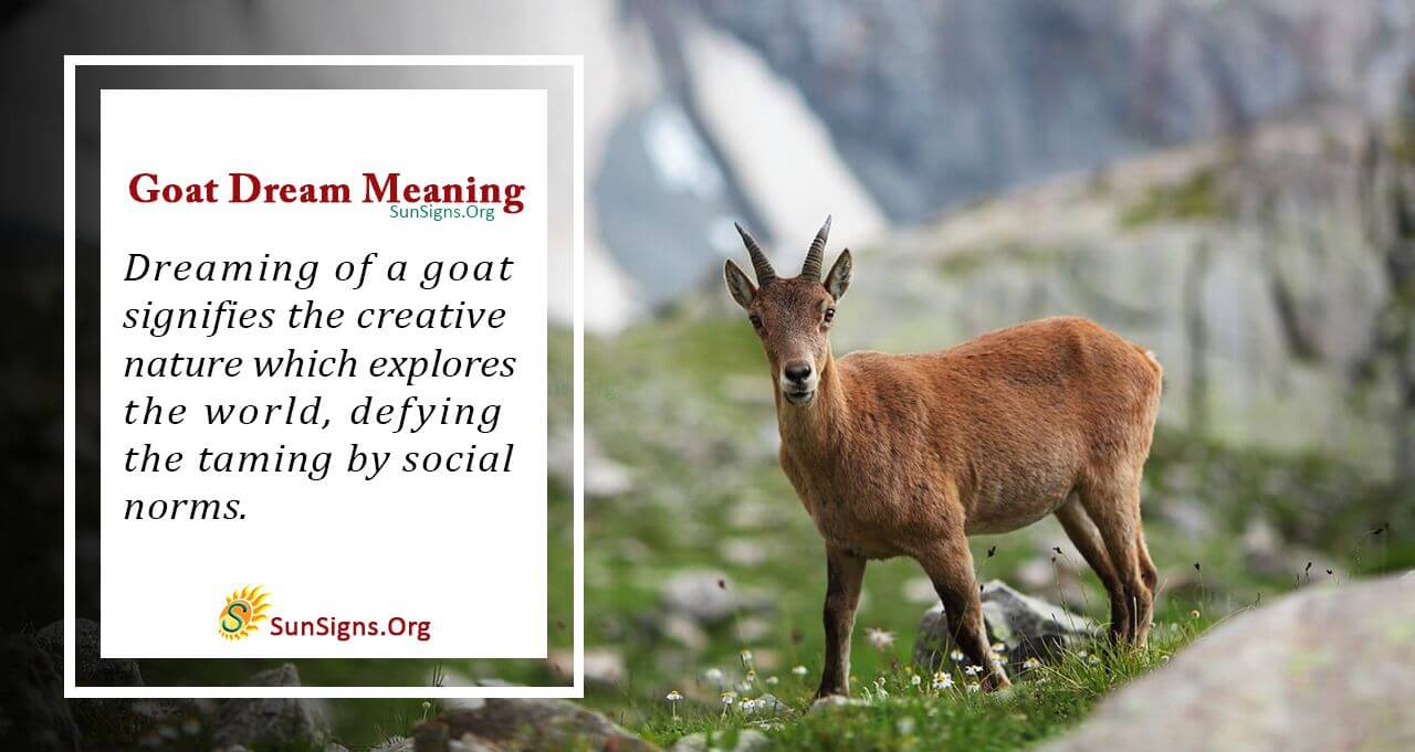 Seeing A Goat In Your Dream - Meaning, Interpretation And Symbolism ...