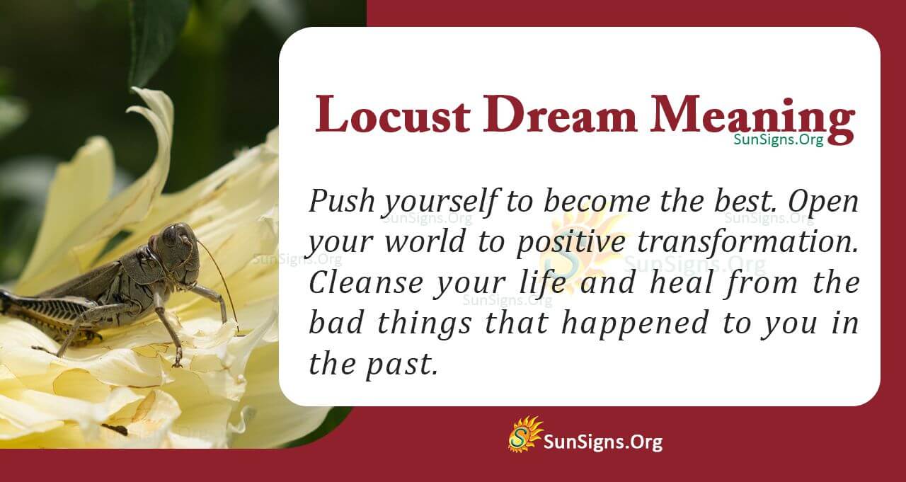 Seeing A Locust Dream - Meaning, Interpretation and Symbolism - SunSigns.Org