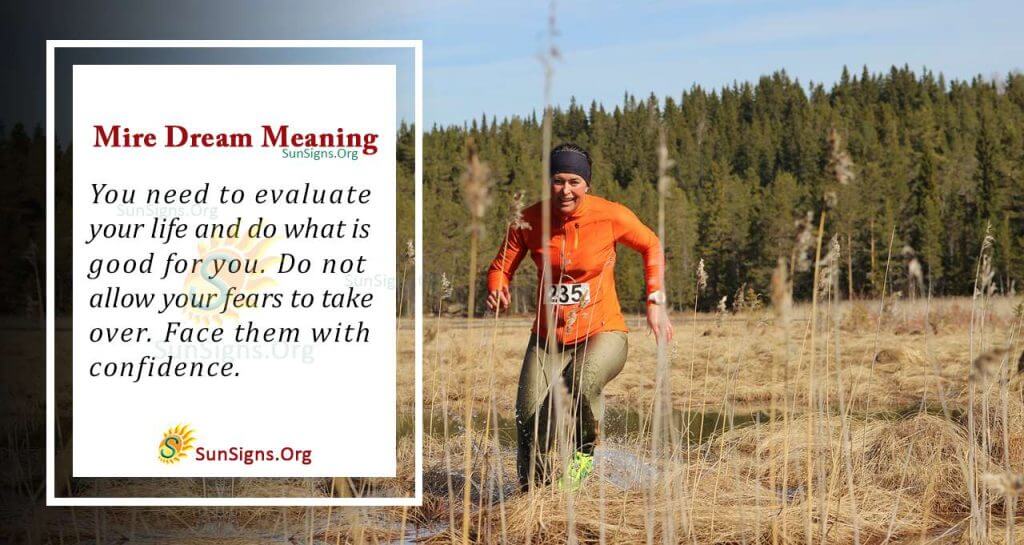 Dream Interpretation Category | Sun Signs