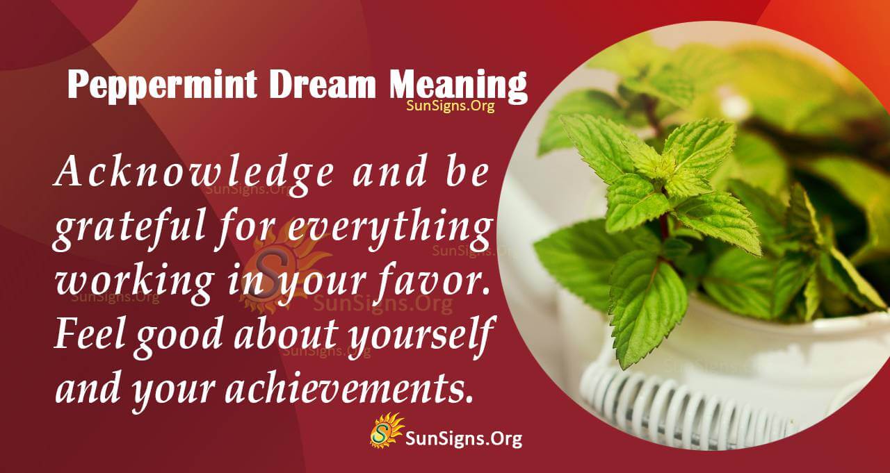 Interpreting Peppermint Dream - Meaning and Symbolism - SunSigns.Org