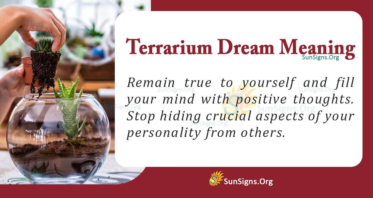 Did You Dream About Terrarium? Meaning, Interpretation and Symbolism - SunSigns.Org