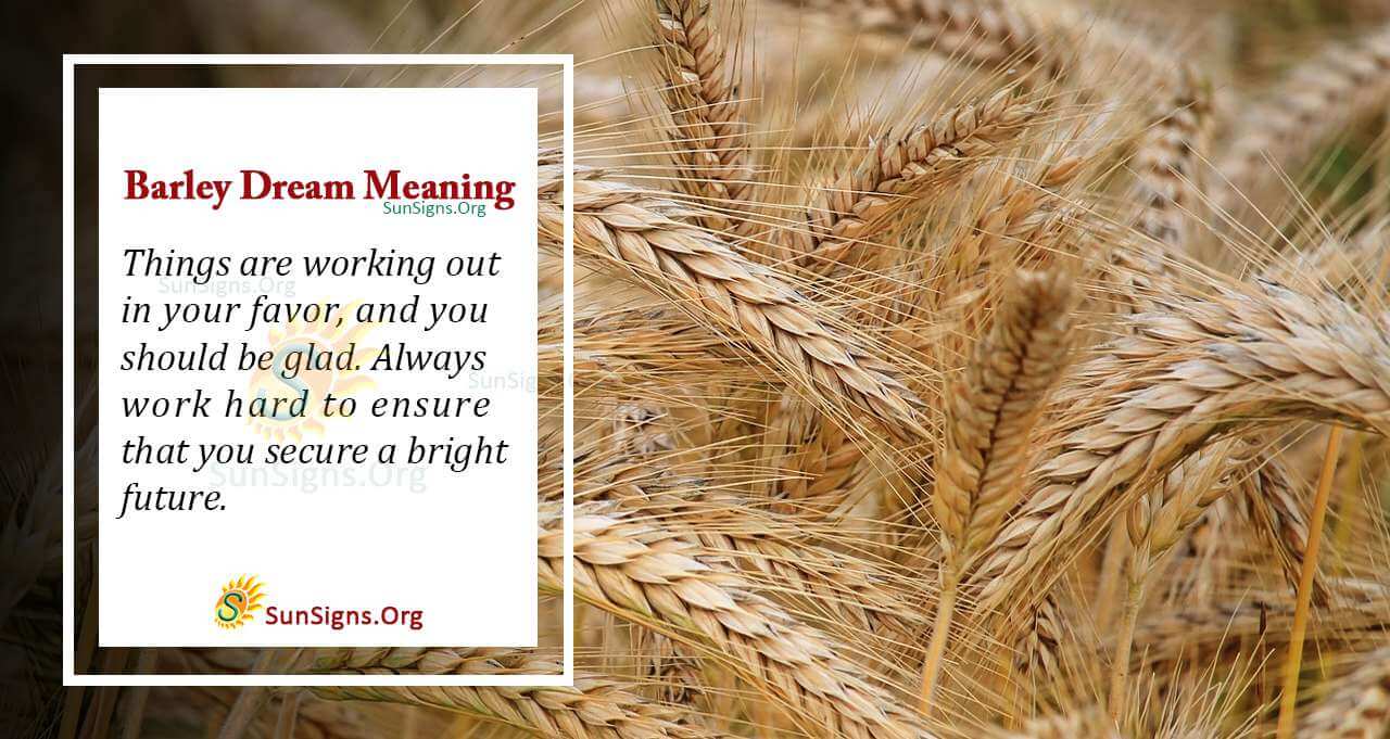 The Hidden Meaning Behind Barley in Your Dream - Interpretation and ...