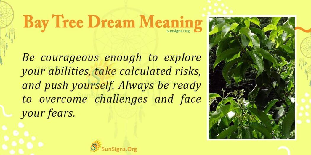 Dream Of A Bay Tree - Meaning, Interpretation And Symbolism - SunSigns.Org