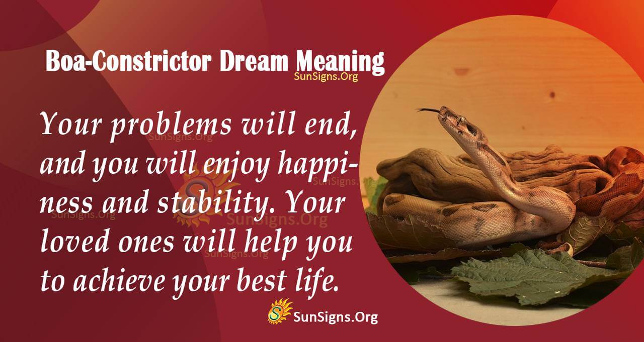 Seeing a Boa Constrictor in Your Dream - Meaning, Interpretation and ...