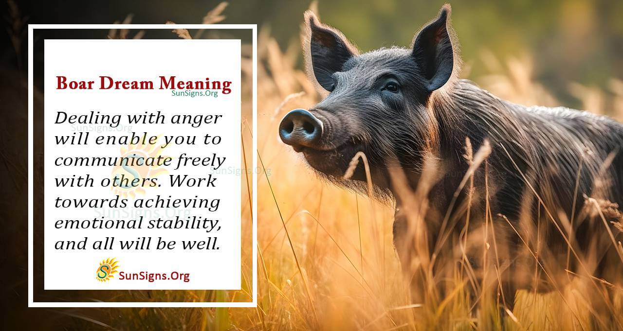 Boar Dream Symbol - Meaning, Interpretation and Symbolism - SunSigns.Org