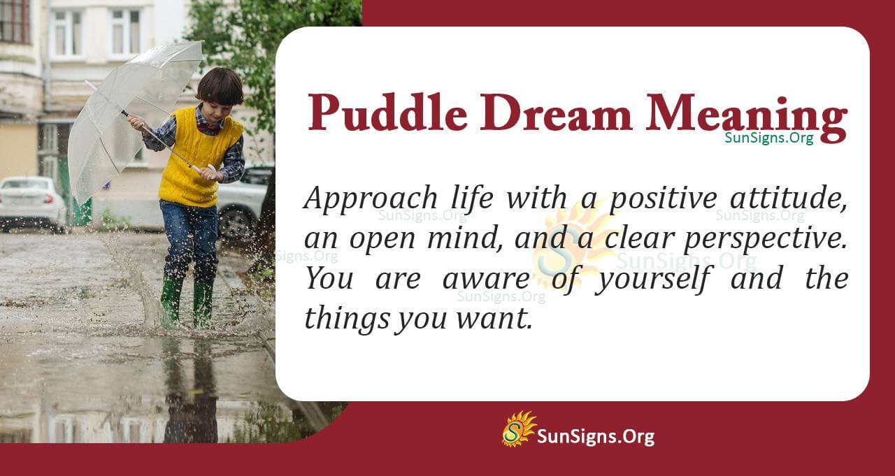 Dream Meaning of Puddle - Explore Its Interpretation and Symbolism ...