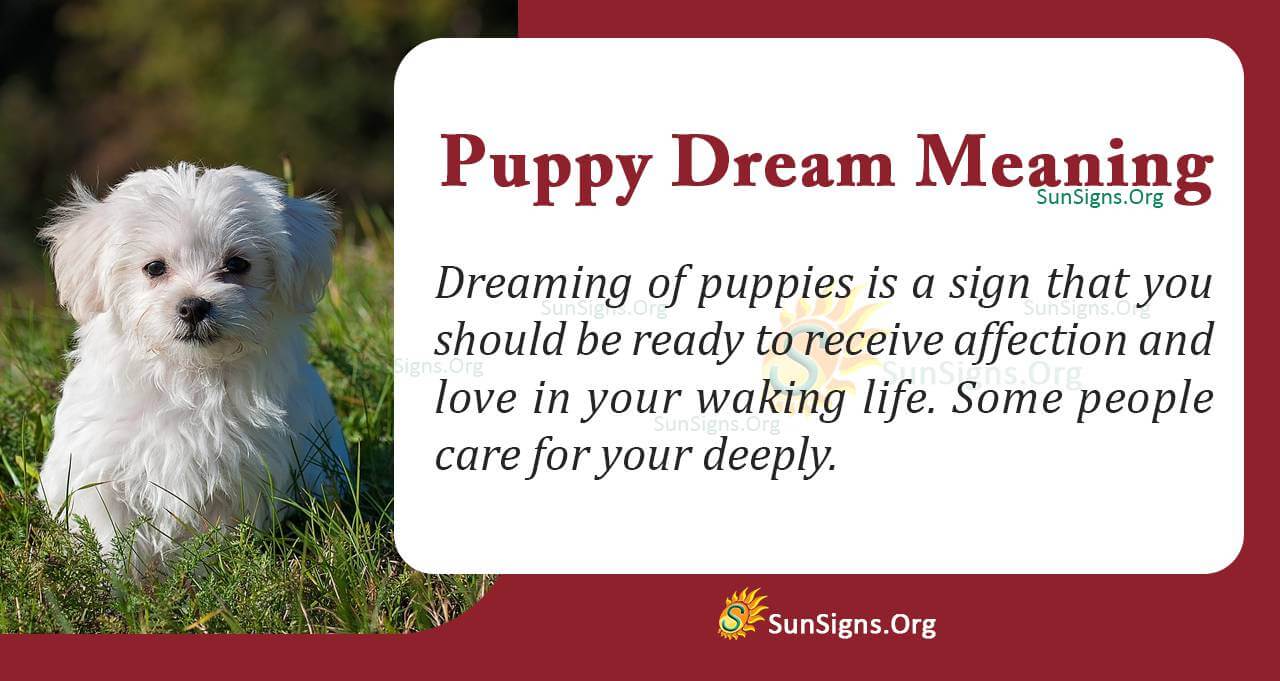 Puppy Dream Symbol - Meaning, Interpretation and Symbolism - SunSigns.Org