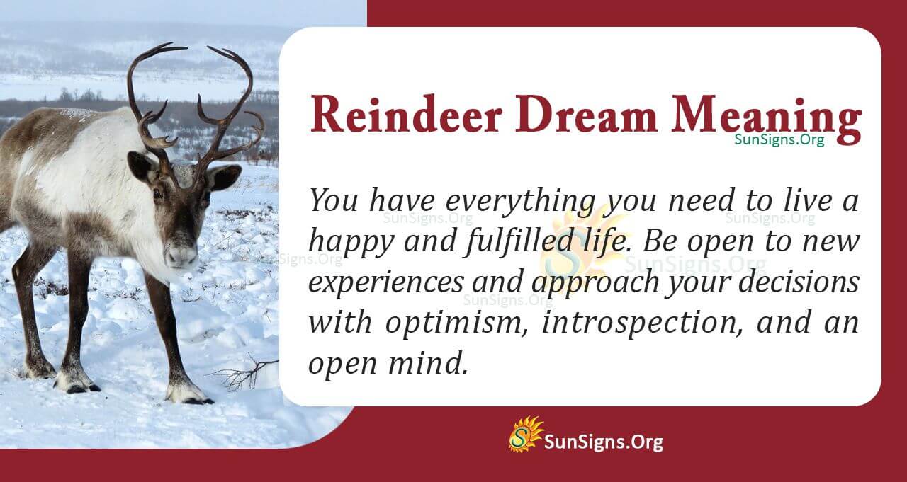 Seeing Reindeer In Your Dream - Meaning, Interpretation And Symbolism ...