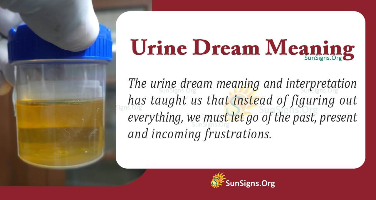 Seeing Urine In Your Dream - Meaning, Interpretation And Symbolism ...
