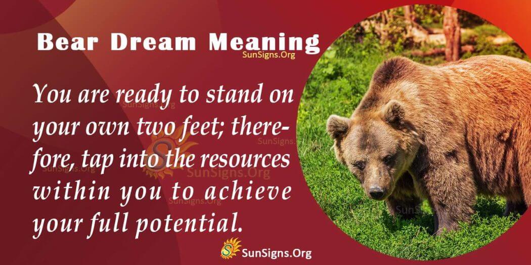 Seeing A Bear In Your Dream - Meaning, Interpretation And Symbolism ...
