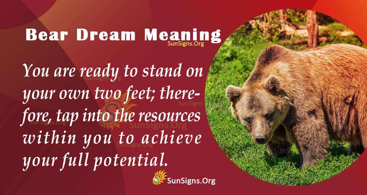 Seeing A Bear In Your Dream - Meaning, Interpretation And Symbolism ...