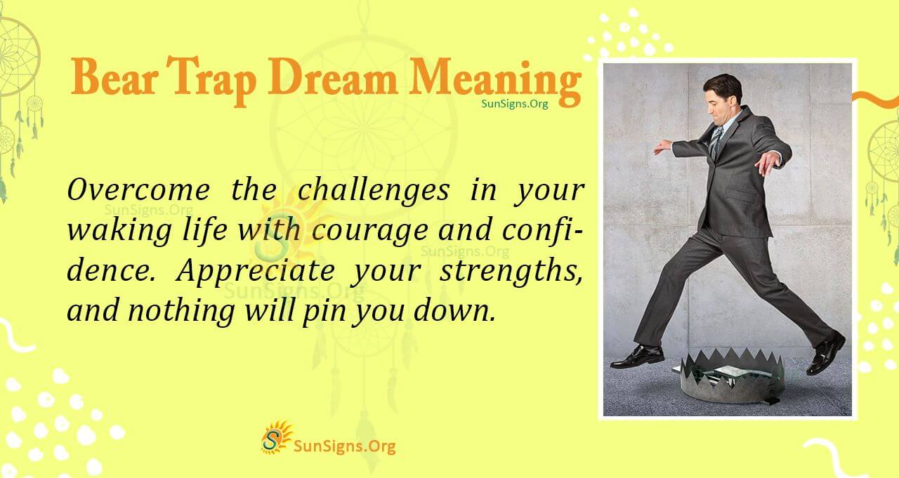 Dreaming of A Bear Trap - Meaning, Interpretation and Symbolism ...