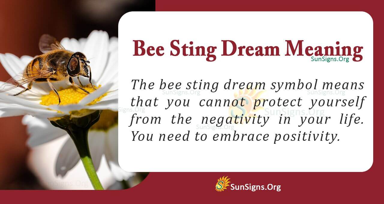 Did You Dream About a Bee Sting? Meaning, Interpretation and Symbolism ...