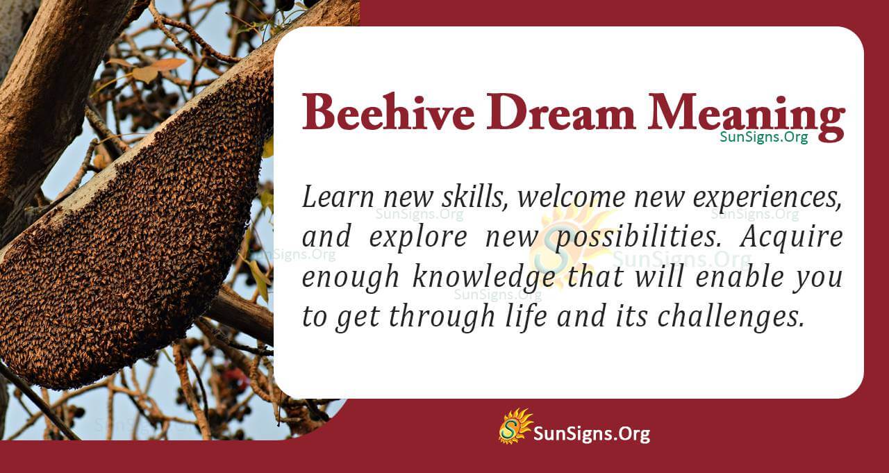 What Does Dreaming of a Beehive Mean? Interpretation and Symbolism ...