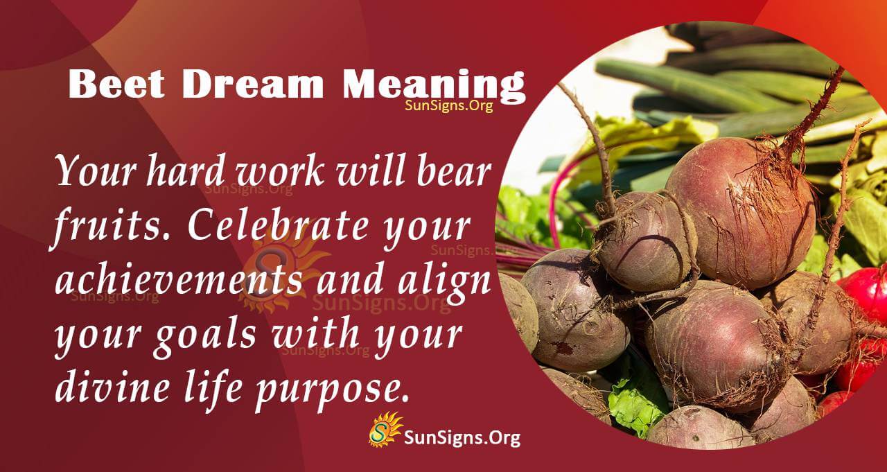 Meaning Of A Beet Dream - Interpretation And Symbolism - SunSigns.Org