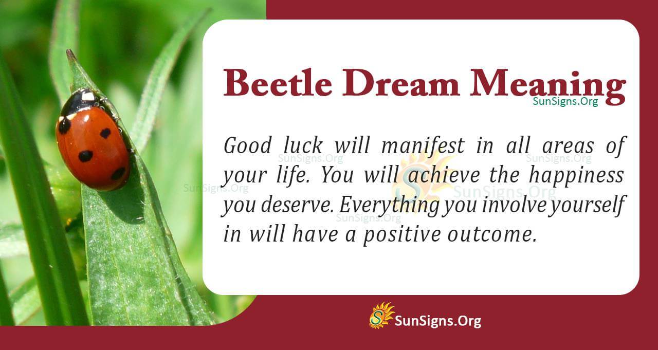 Beetle in Your Dream - Meaning, Interpretation and Symbolism - SunSigns.Org