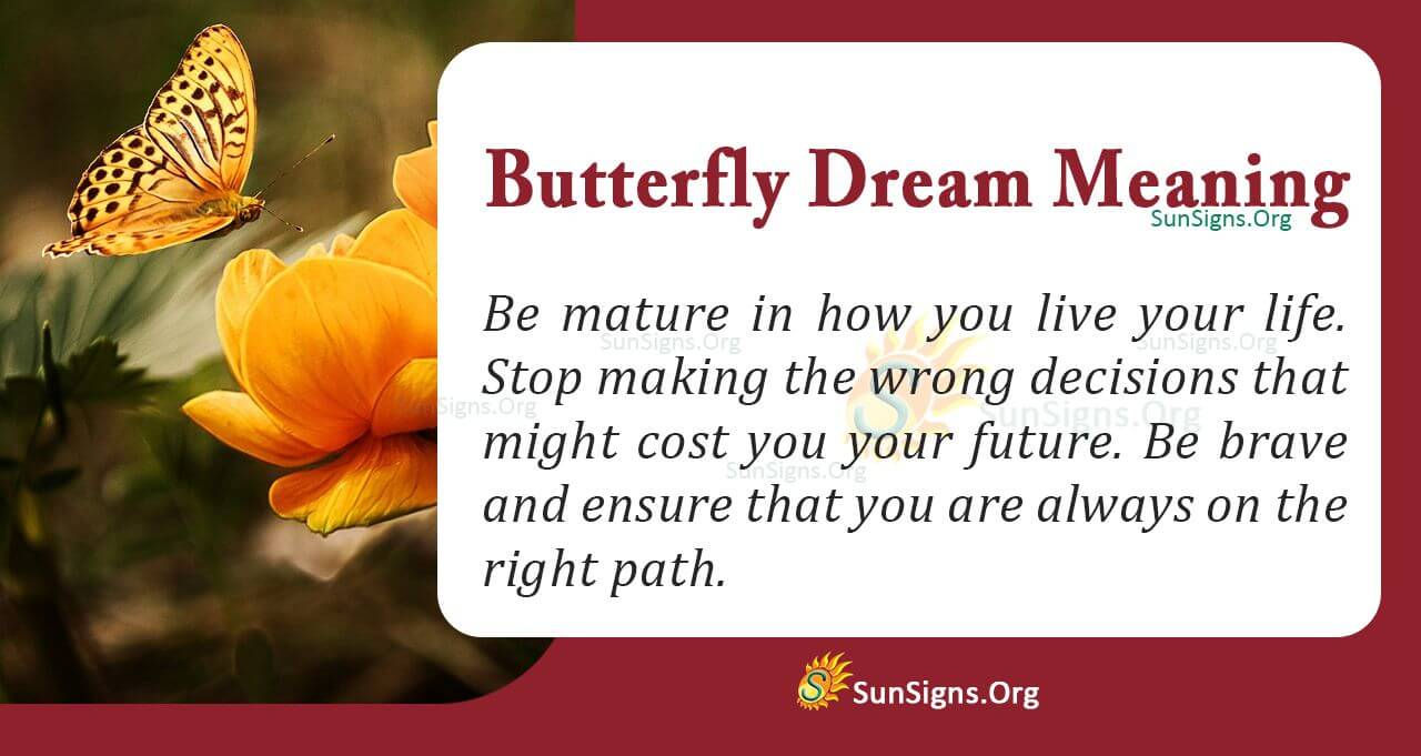 The Hidden Meaning Behind a Butterfly Dream - Interpretation and ...