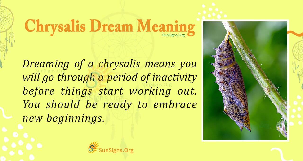 Seeing a Chrysalis in Your Dream - Meaning, Interpretation and Symbolism - SunSigns.Org