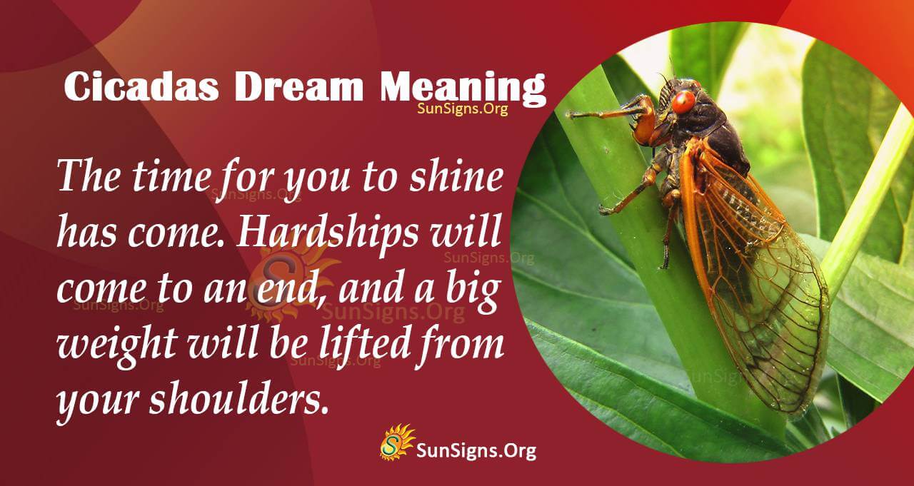 Did You Dream About a Cicada? Explore Its Meaning, Interpretation and ...