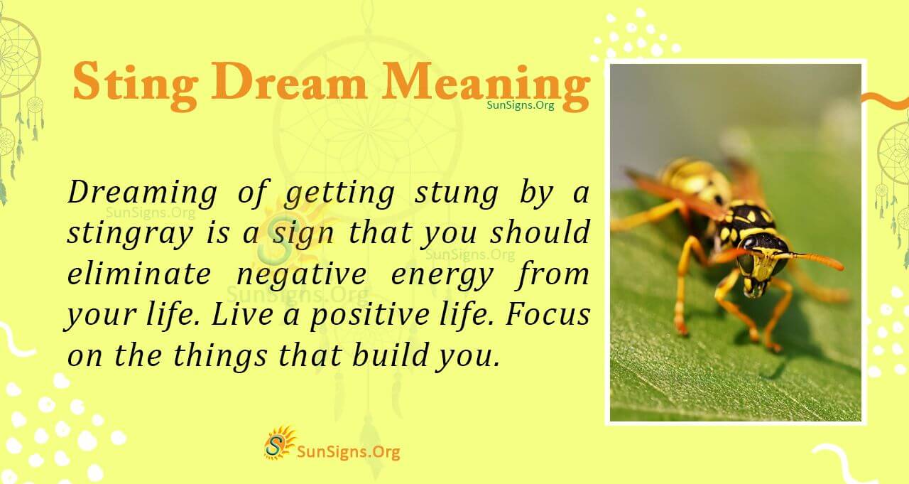 Interpreting A Sting Dream - Meaning and Symbolism - SunSigns.Org